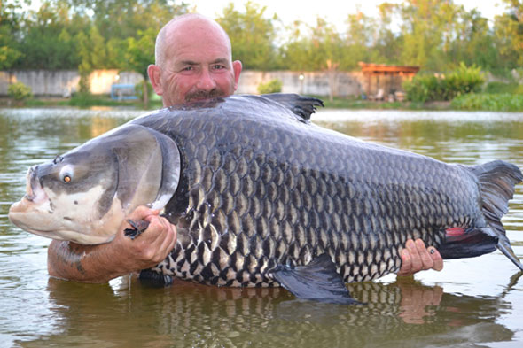 British holidaymaker catches the world's biggest carp
