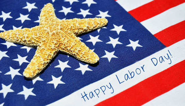 12 Animals Who Are Ready for Labor Day - AOL