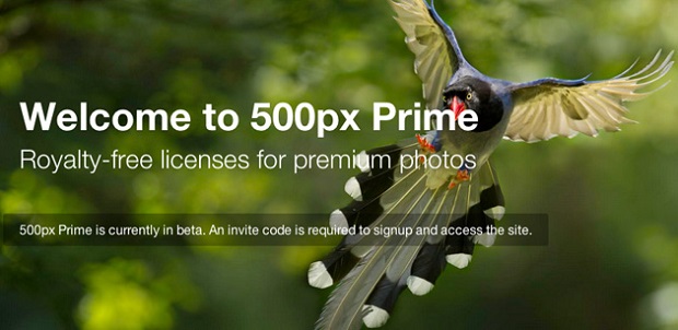 攝影師的福音？500px Prime 服務的分帳比例大增至 70%