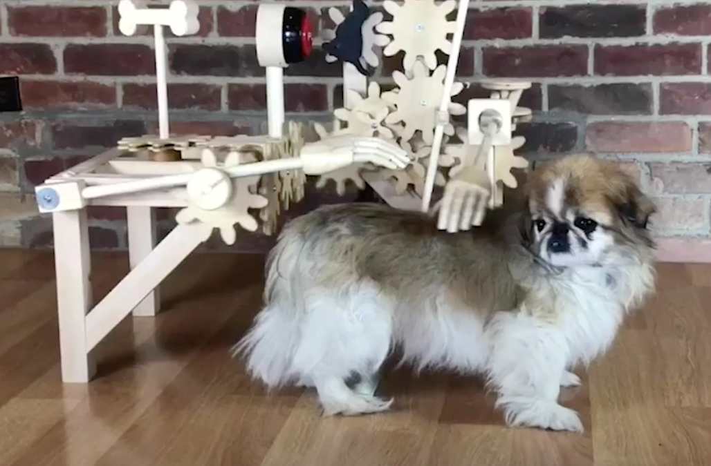 This wooden machine pets your dog so you don’t have to