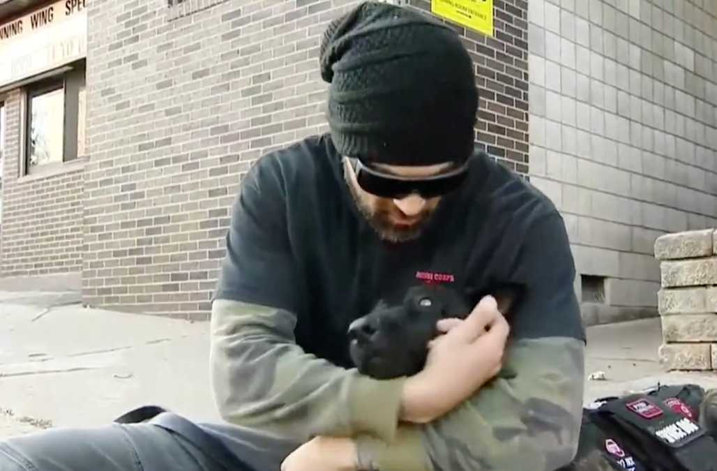 Veteran with PTSD barred from entering restaurant over service dog: 'It ...