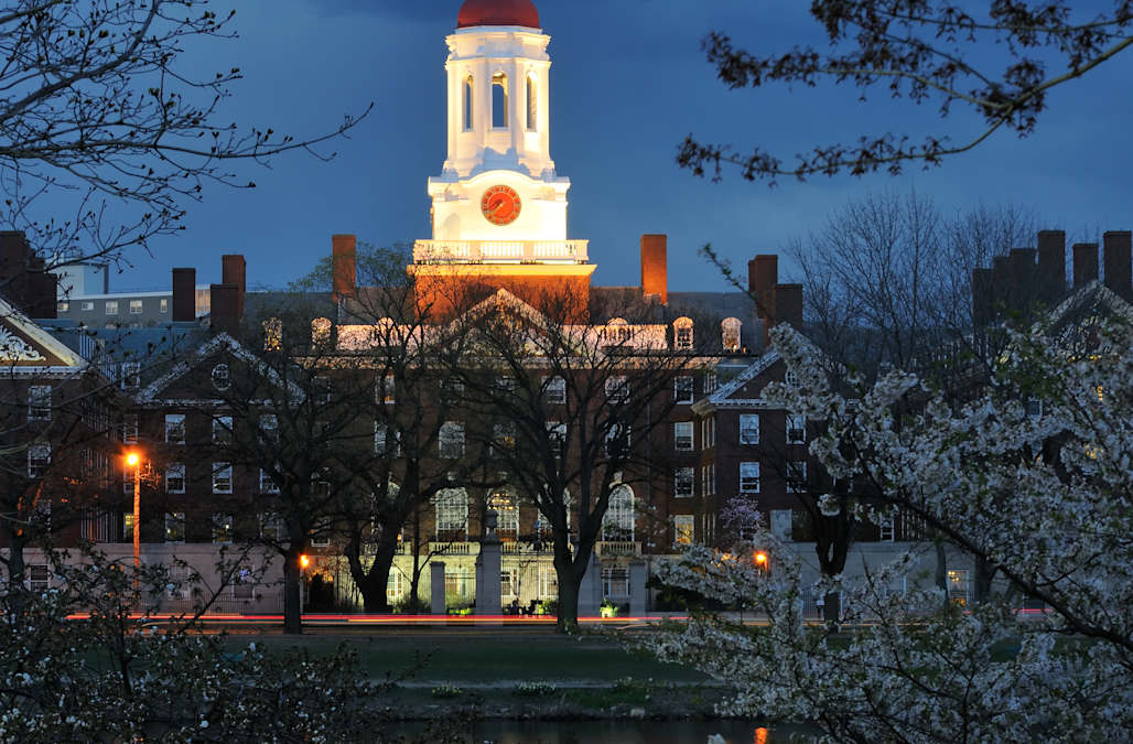 Chicago high school student's fake Harvard rejection letter goes viral ...