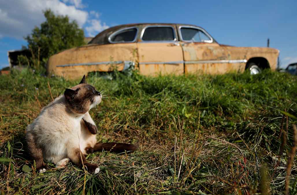 Rust in peace: Soviet-era cars fill Russian mechanic's field