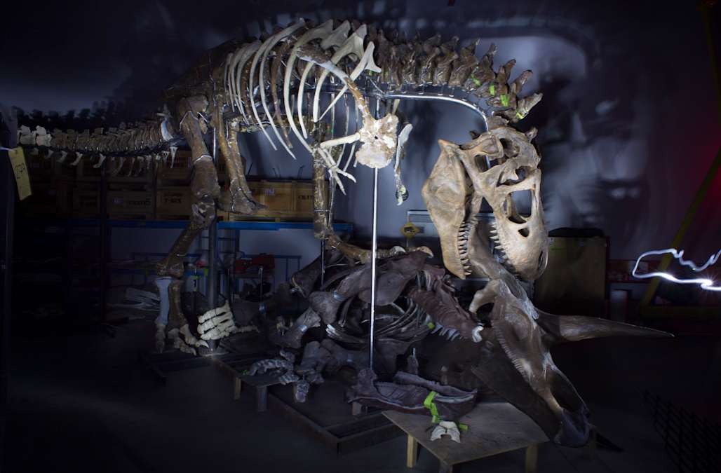 We may finally have an answer to what killed dinosaurs - AOL