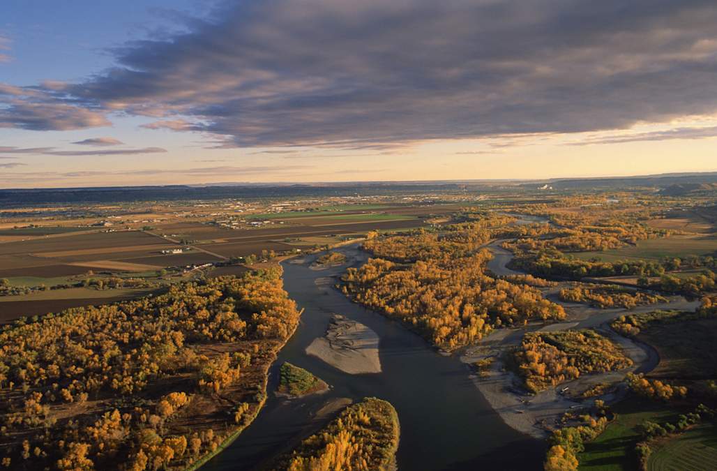 Deadly fish parasite forces Yellowstone River closure in Montana