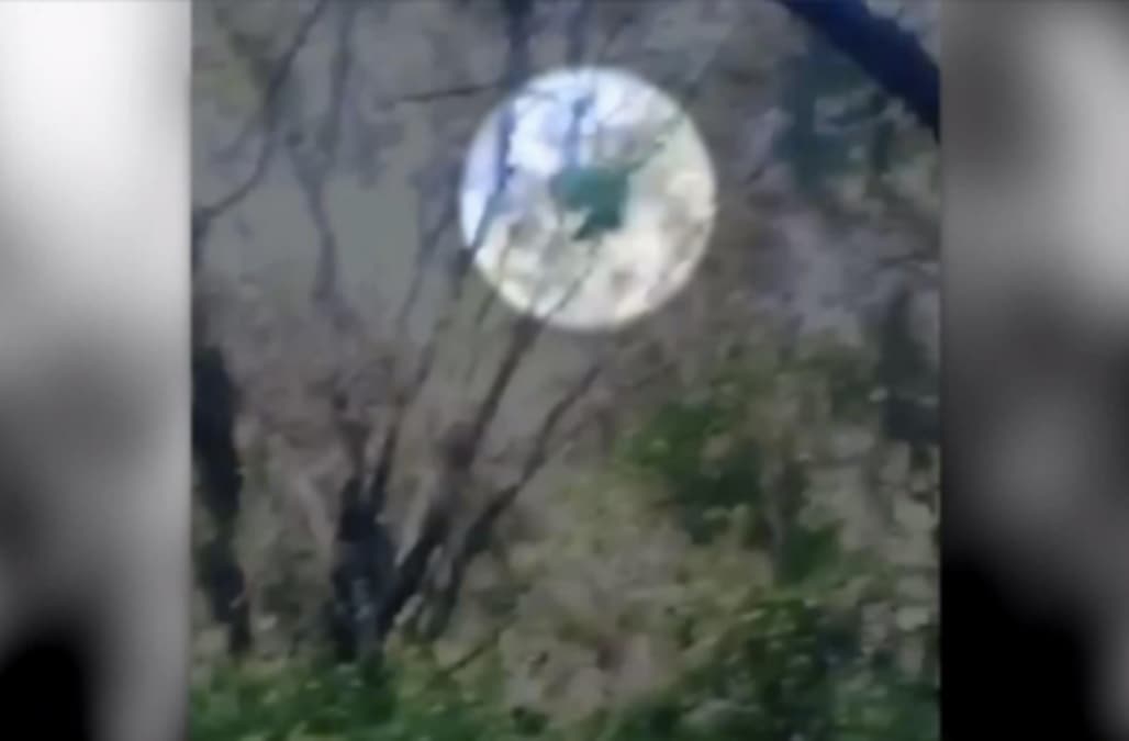 Mysterious creature spotted lurking near a hiking trail - AOL