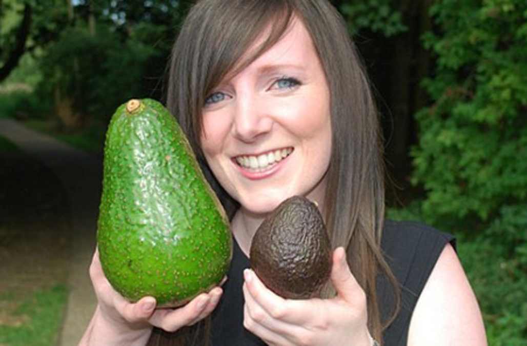 The Avozilla Takes Over - AOL