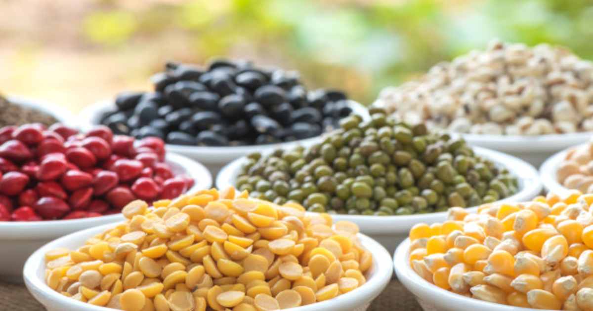 Pulses Quality at Blake Pardey blog